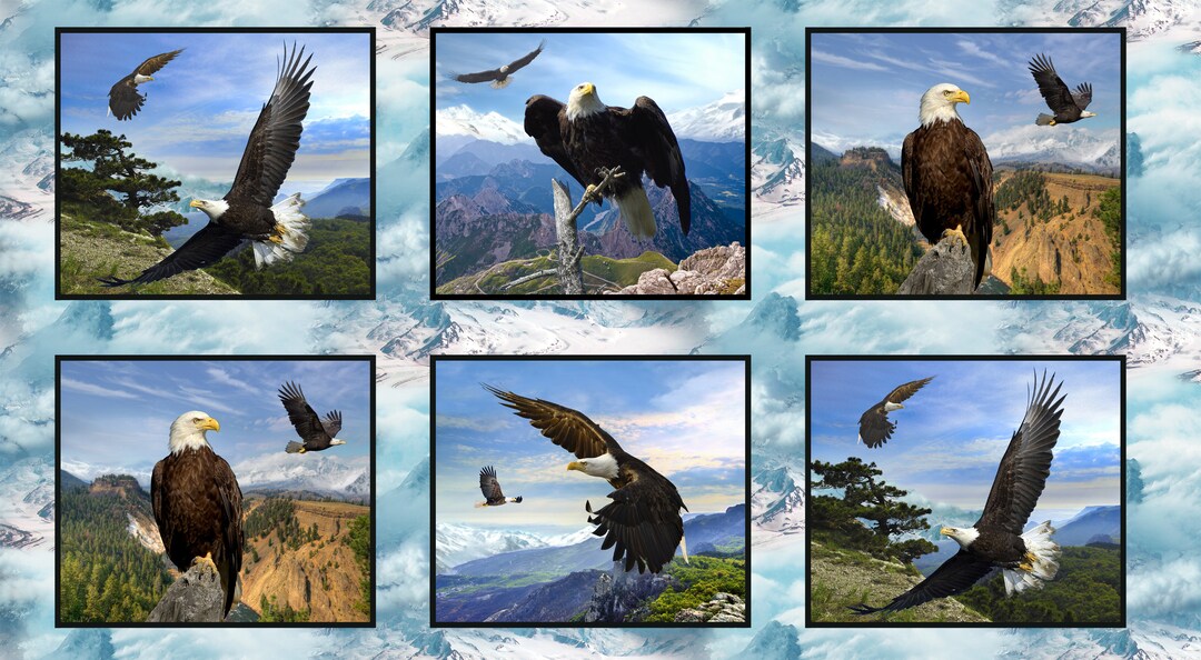 Bald Eagle Fabric Panel 43"x23", 284 Blue by Elizabeth's Studio ...