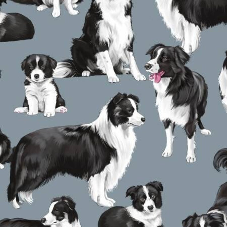 Border Collie Dog Fabric, C7365-BLU Timeless Treasures, Dog Gift Quilt ...