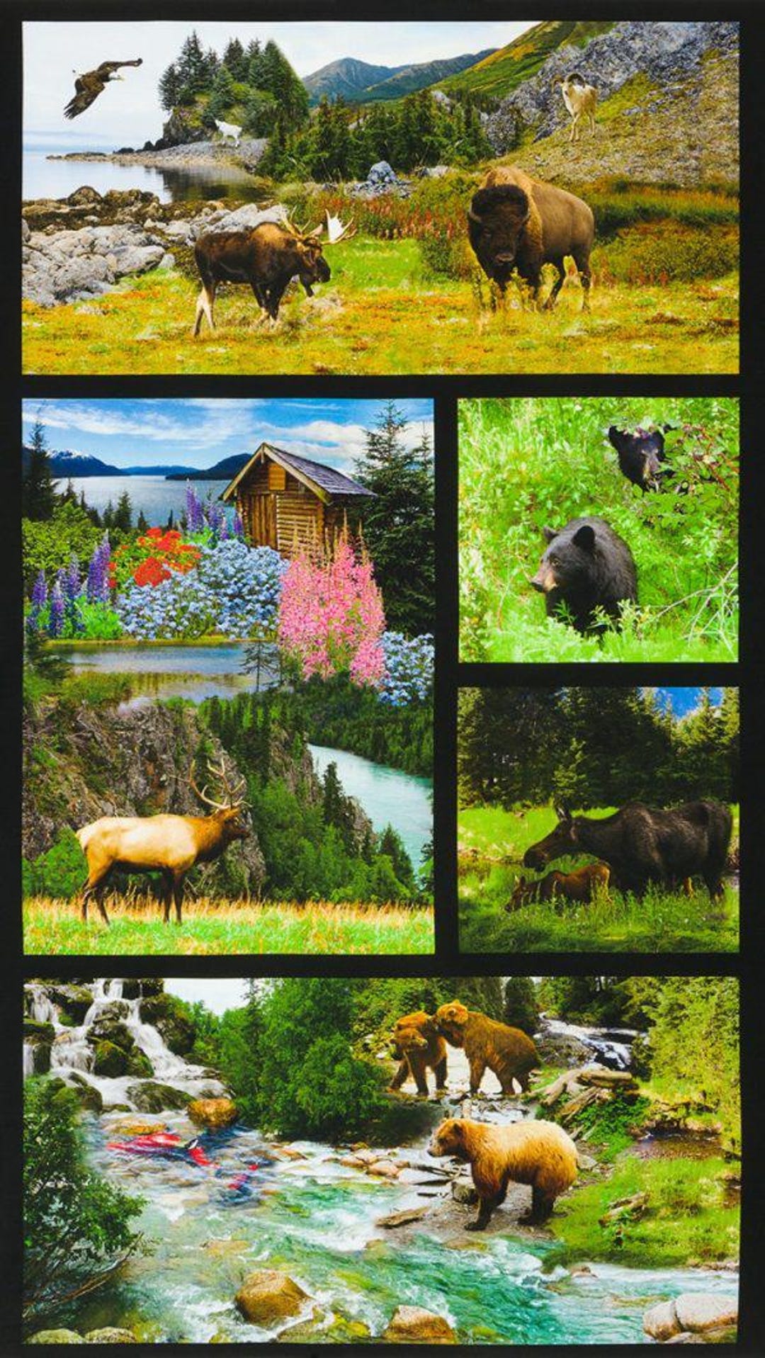 Animal Panel Nature Fabric Panel 43"x23", # SRKD20813268 Robert Kaufman ...