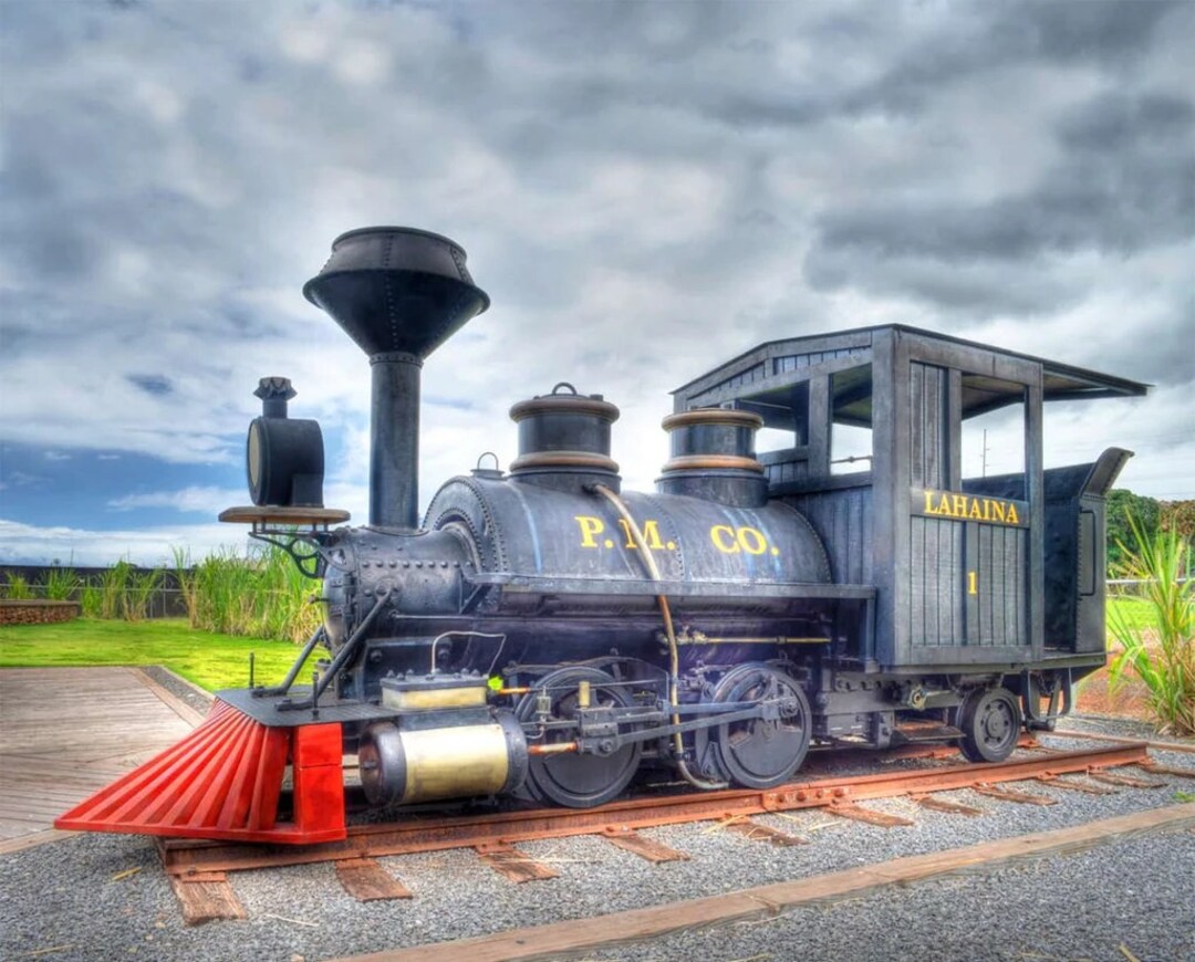 Train Fabric Panel 43x36 Train Quilt Wall Hanging - Etsy