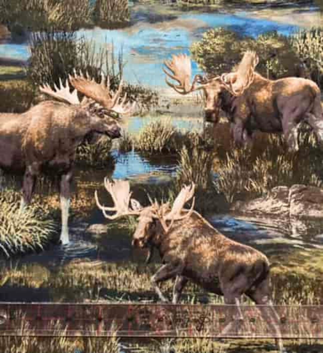 Moose Fabric 1/2 Yard, 1502 Helmsley Hill by Springs Creative, Moose ...