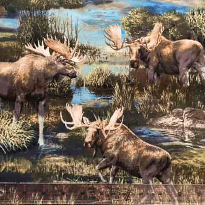 Moose Fabric - Etsy