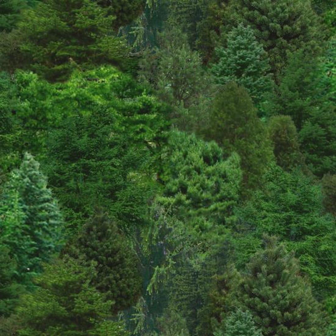 Forest Fabric 1/2 Yard, # 176-green by Elizabeth Studios, Landscape ...