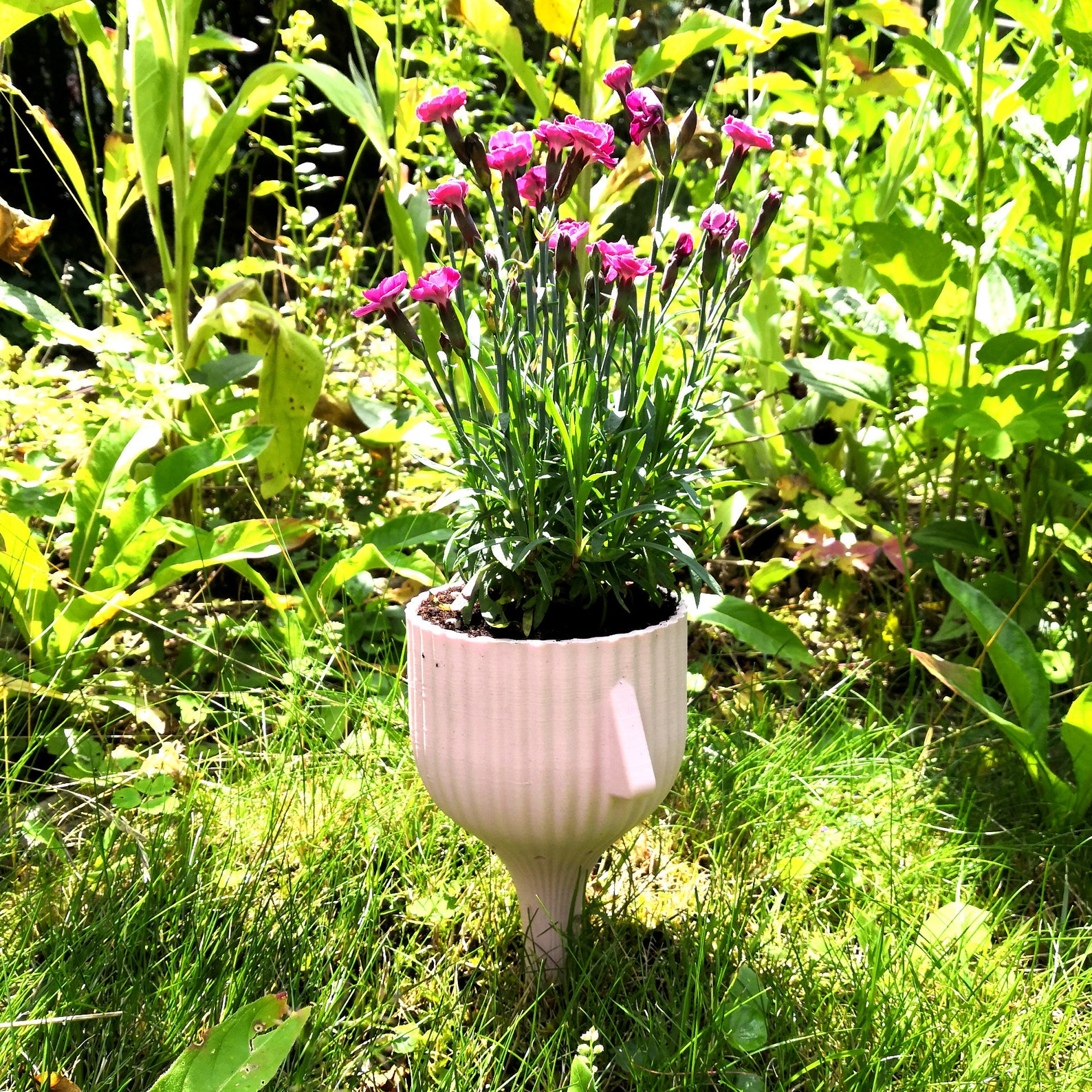 Gazzaladra Elevated Pot & Garden Planter Decor for Dinner - Etsy