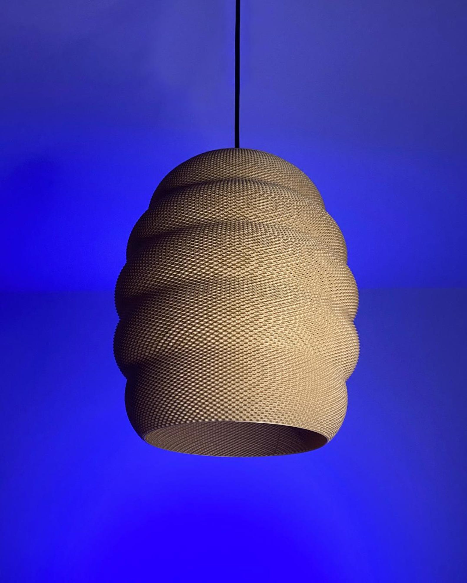 Lunfardo Bee Hive Lamp Shade | Home Decor | Gift Idea | Geometric ...