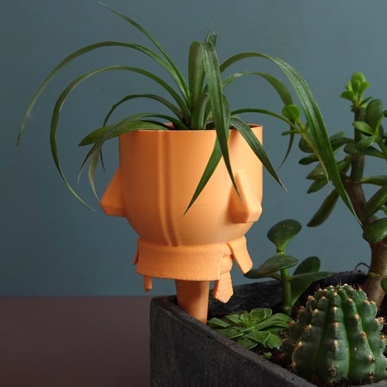 Gazzaladra Elevated Pot & Garden Planter Decor for Dinner - Etsy