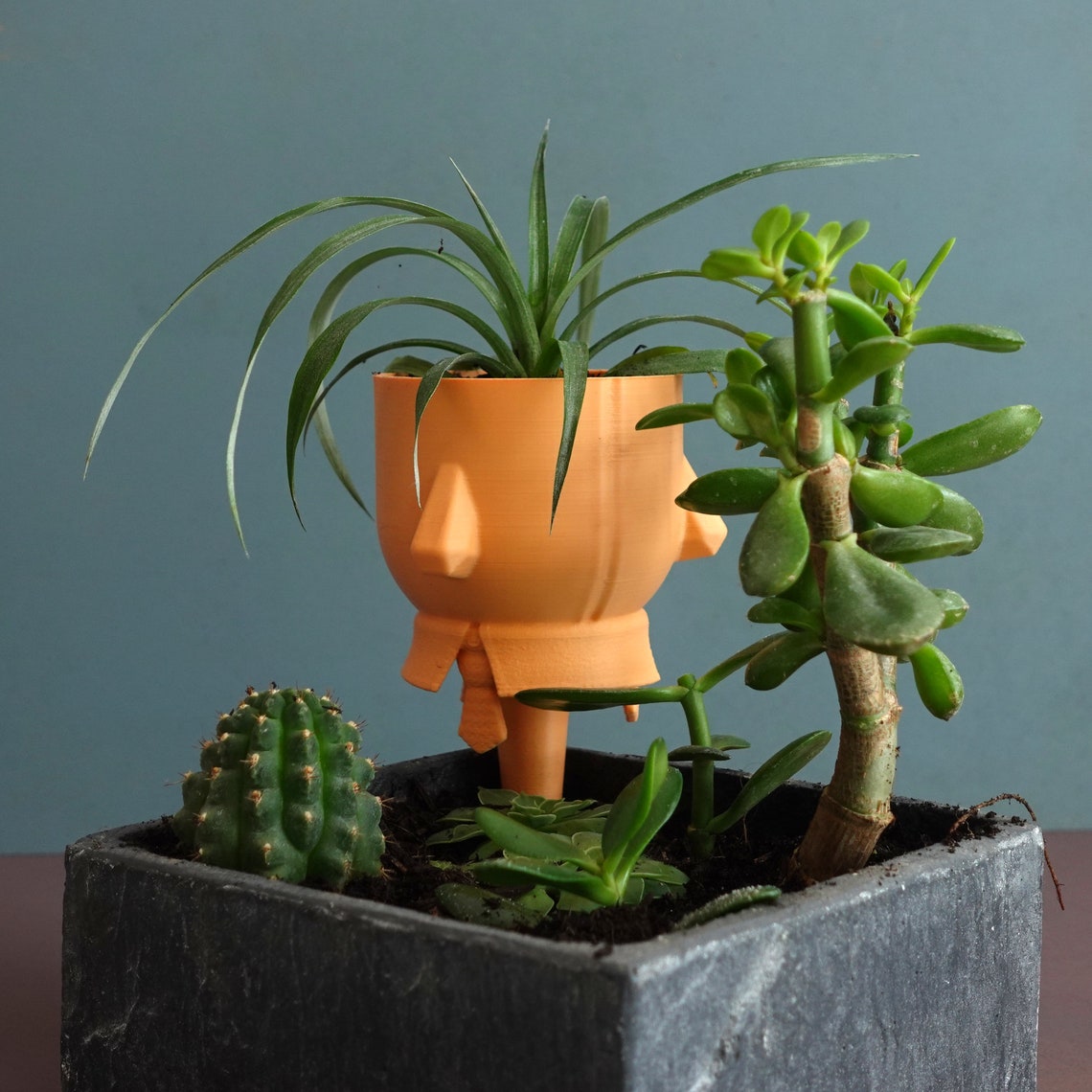 Gazzaladra Elevated Pot & Garden Planter Decor for Dinner - Etsy