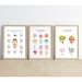 12 Bilingual French Educational Poster for Kids French English ...