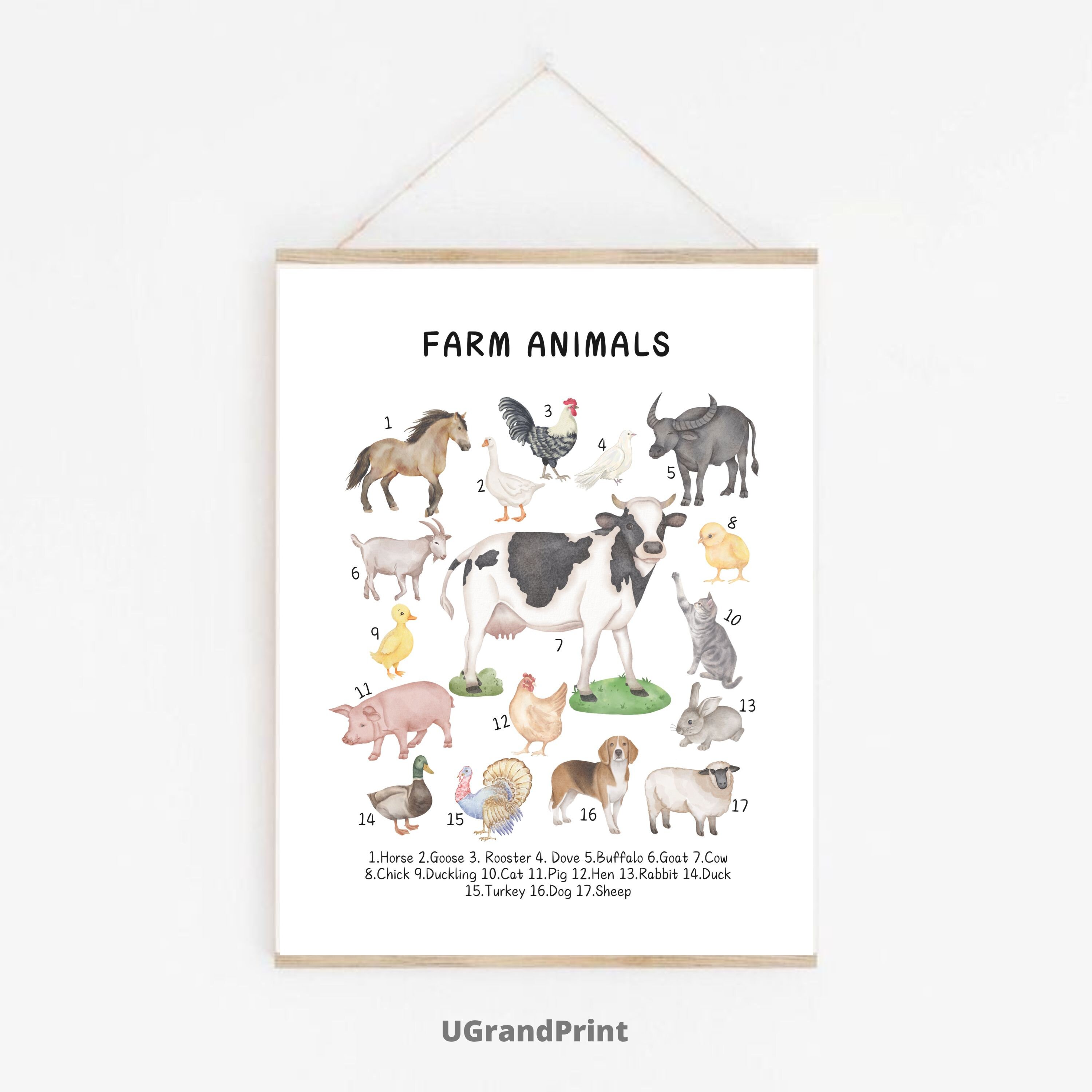 Farm Animals Educational Posters Montessori Nursery Homeschool ...