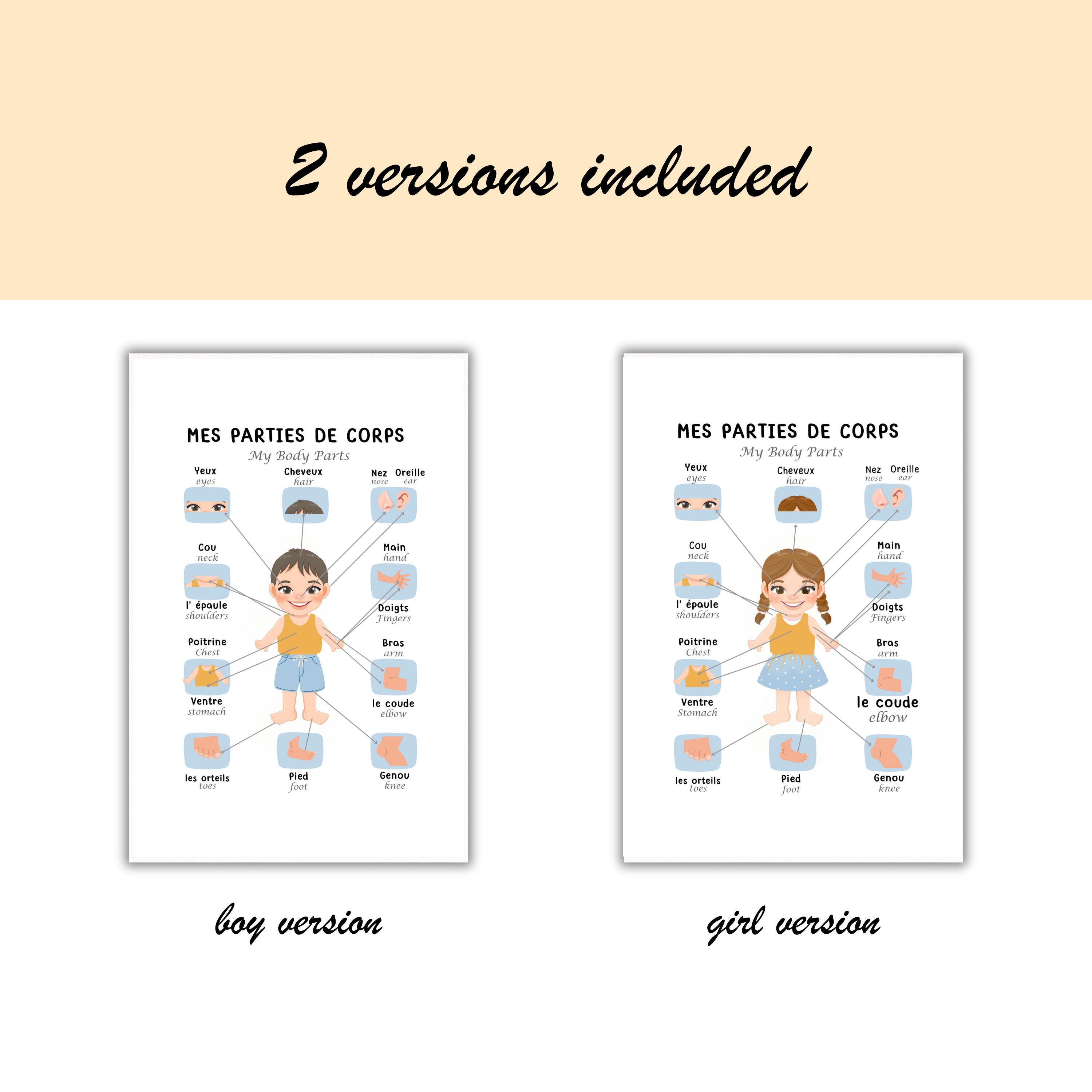 12 Bilingual French Educational Poster for Kids French English ...