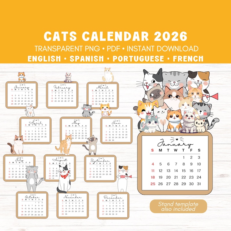 2026 Cat Calendar - Etsy