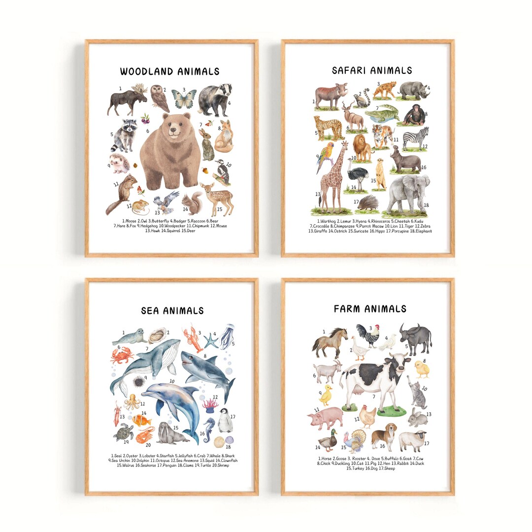 Set of 4 Educational Wall Art Classroom Posters for Kids Homeschool ...