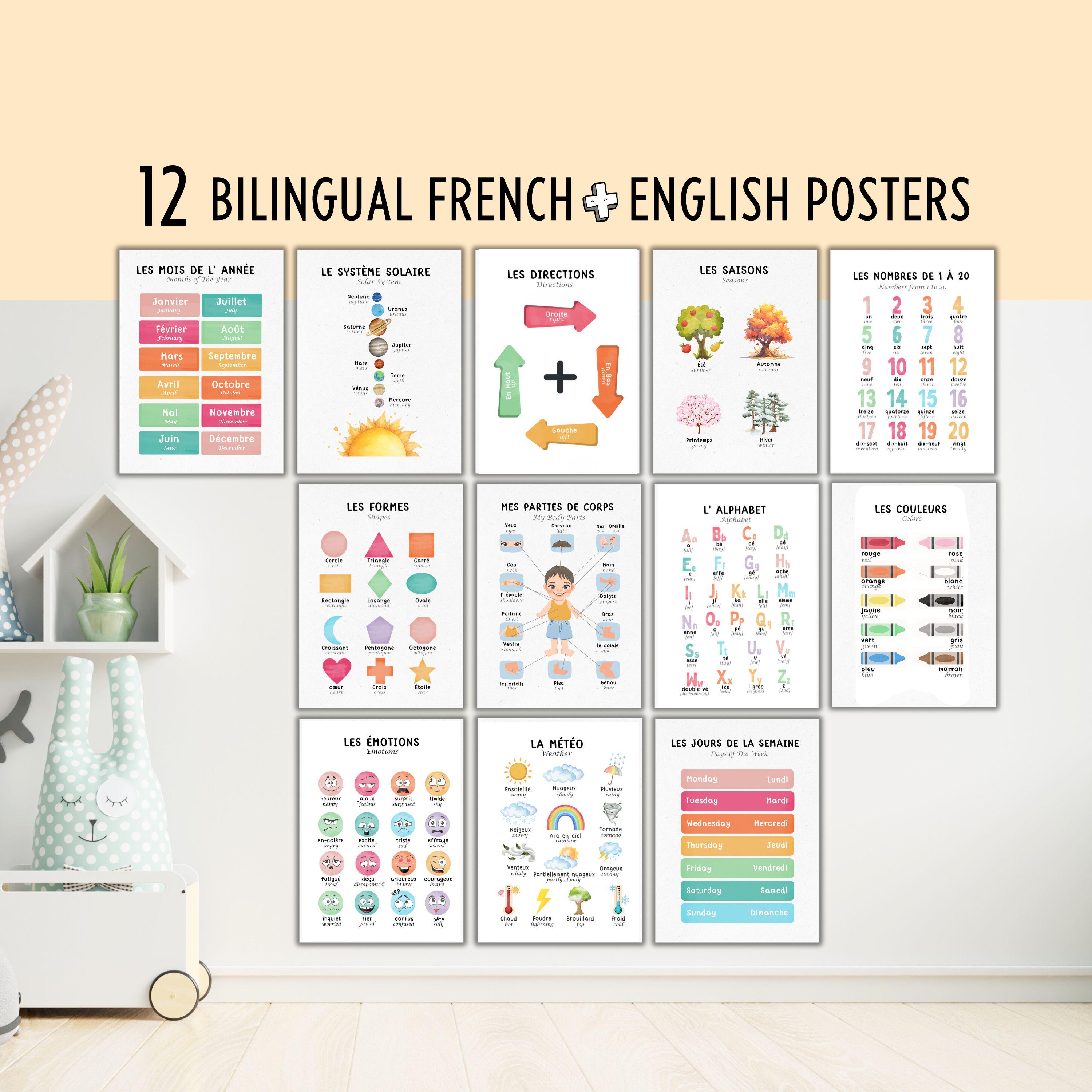 12 Bilingual French Educational Poster for Kids French English ...