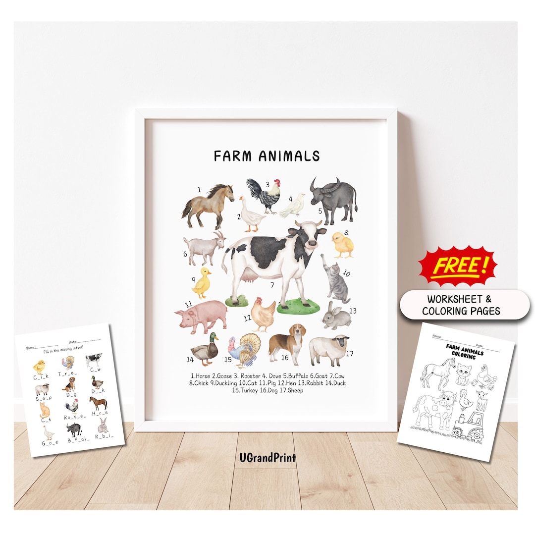 Farm Animals Educational Posters Montessori Nursery Homeschool ...