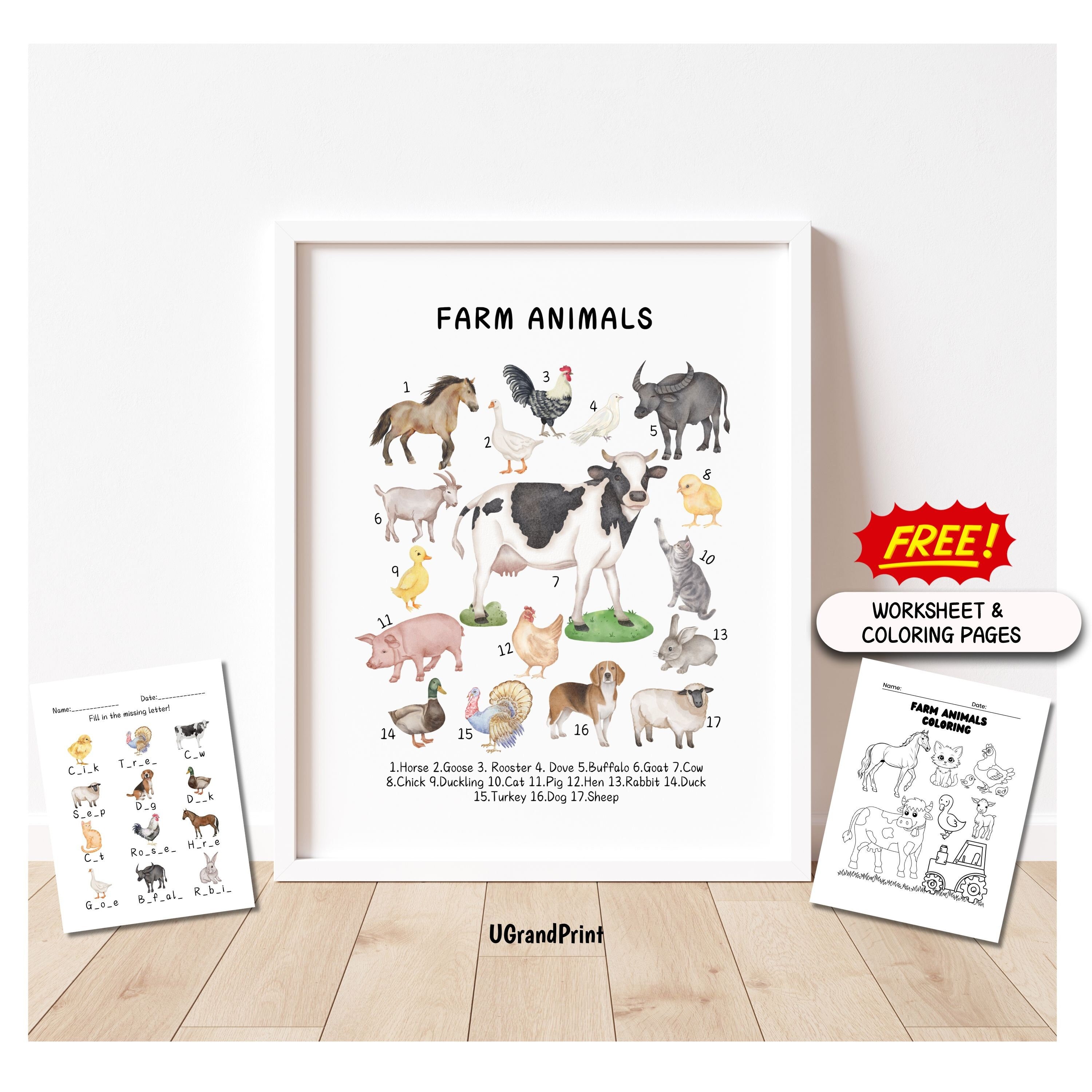 Farm Animals Educational Posters Montessori Nursery Homeschool ...