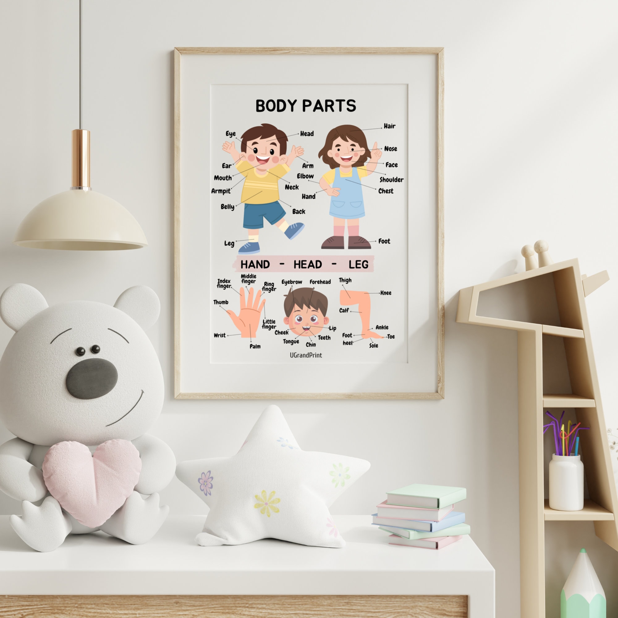 Body Parts Poster Montessori Homeschooling Educational Print for ...