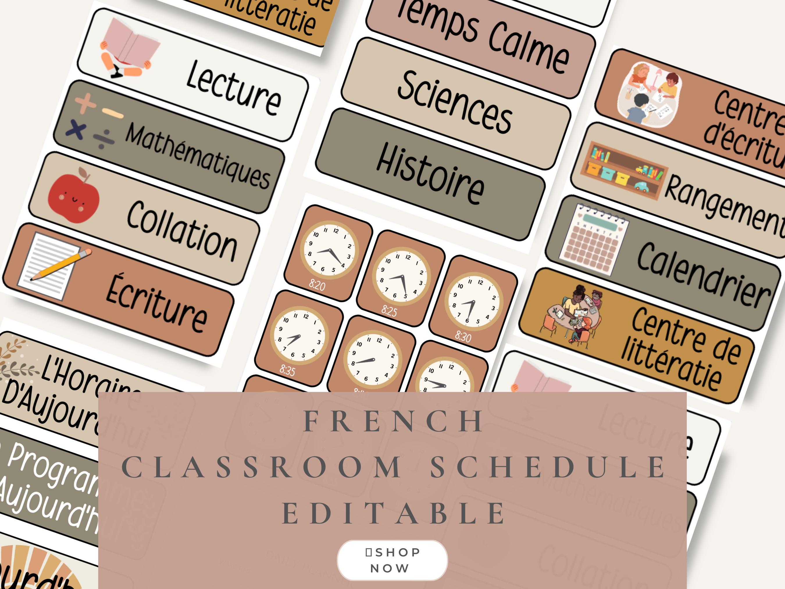 FRENCH Boho Classroom Visual Schedule | Classroom Schedule Cards ...