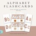 Printable Alphabet Flashcards | Educational Cards | ABC Cards ...