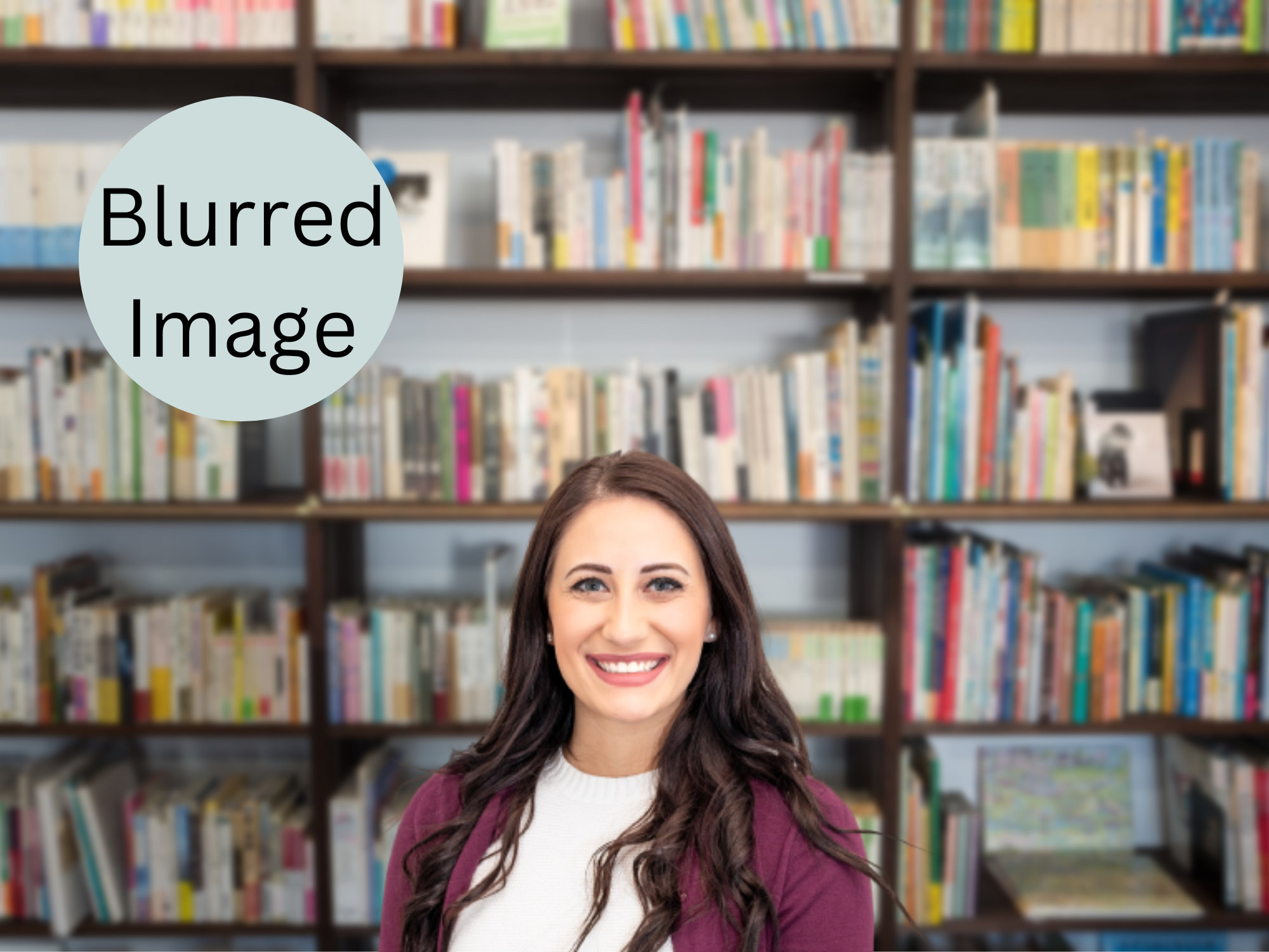 Blurred Bookshelf Background, Zoom Virtual Background, Zoom Wallpaper ...