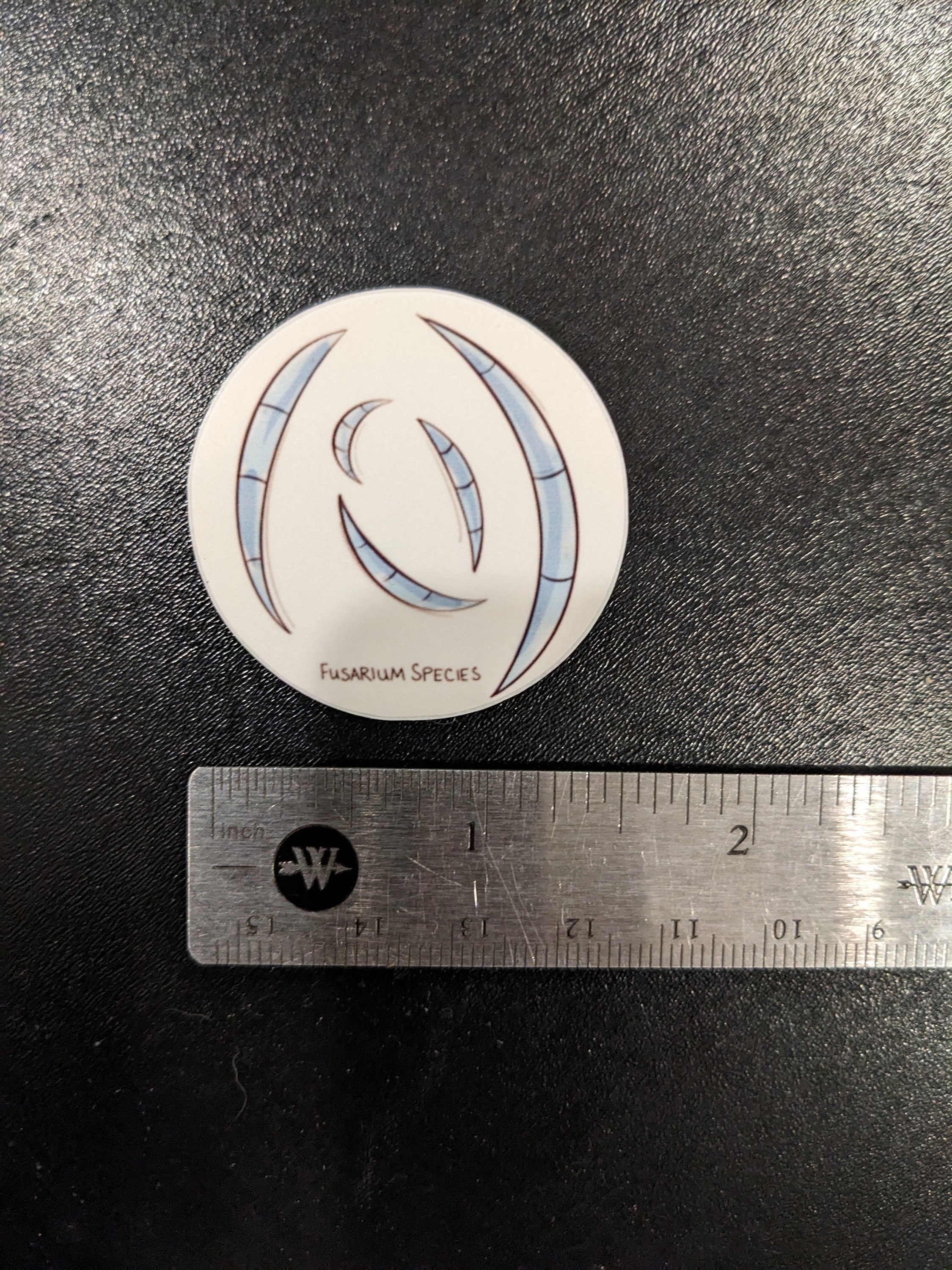 Medical Microbiology Stickers, Variety Pack x8 - Etsy