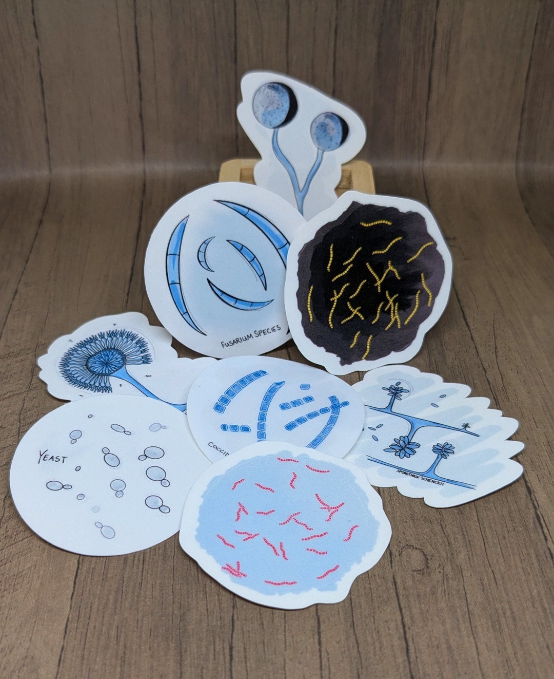 Medical Microbiology Stickers, Variety Pack (x8) - Etsy