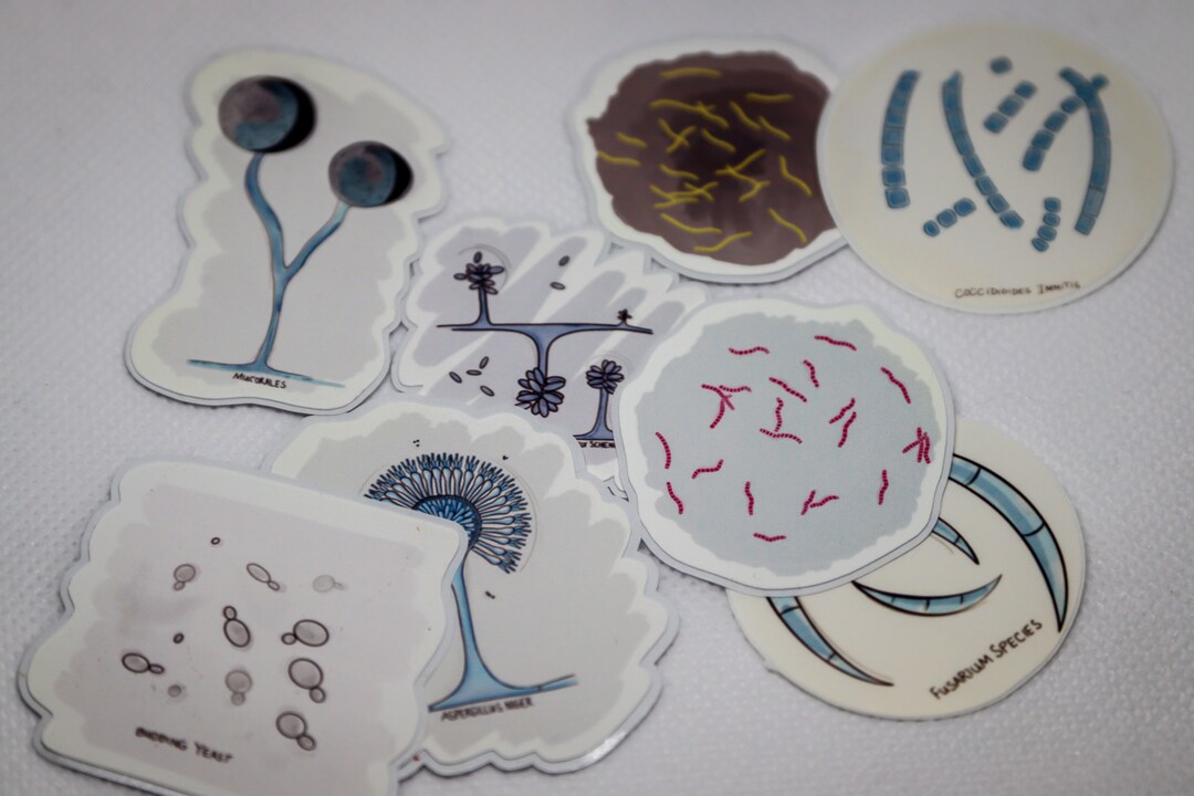 Medical Microbiology Stickers, Variety Pack x8 - Etsy
