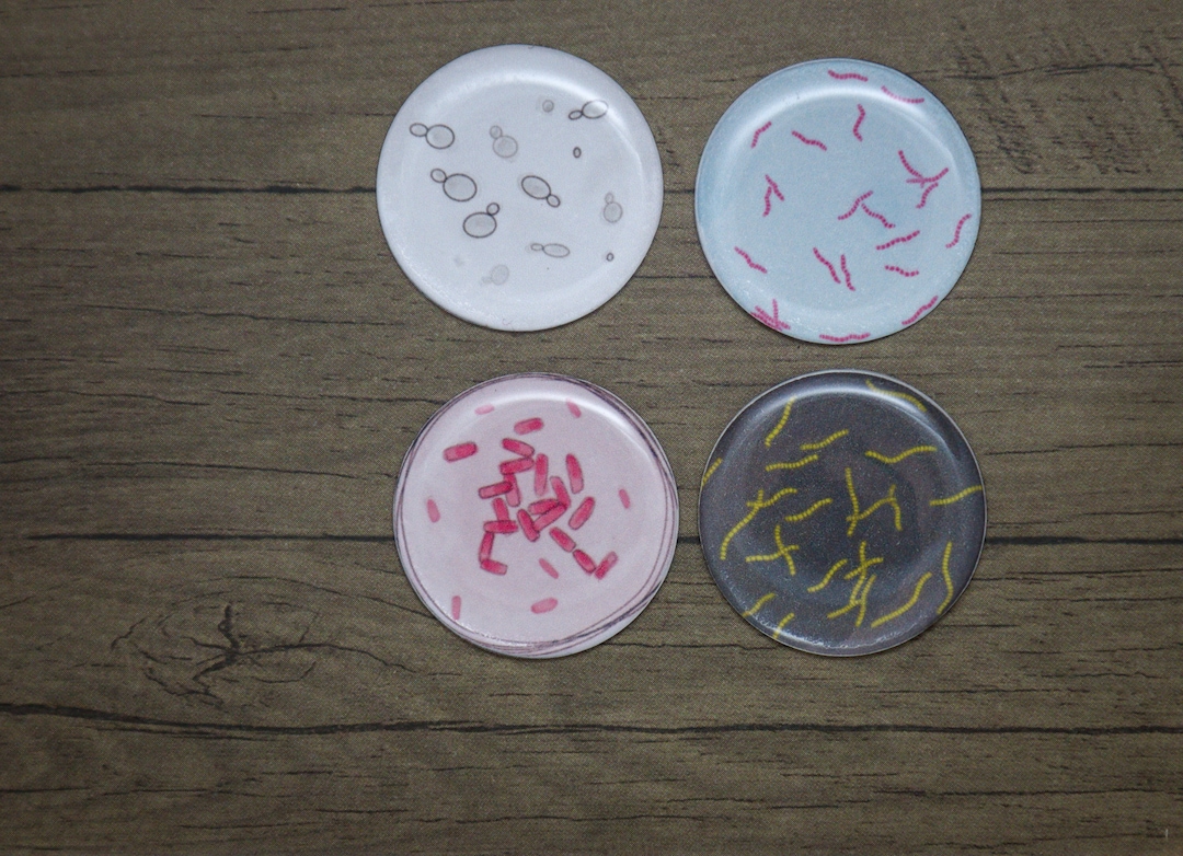 1" Microbiology Variety Magnets (x4) - Etsy