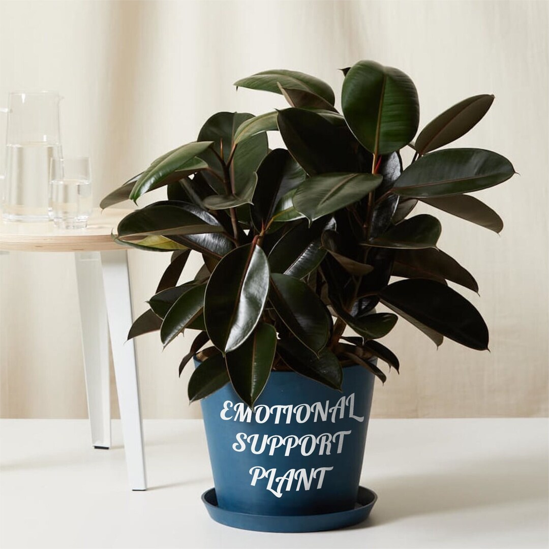 Cute Planter Decal - Emotional Support Plant - Etsy