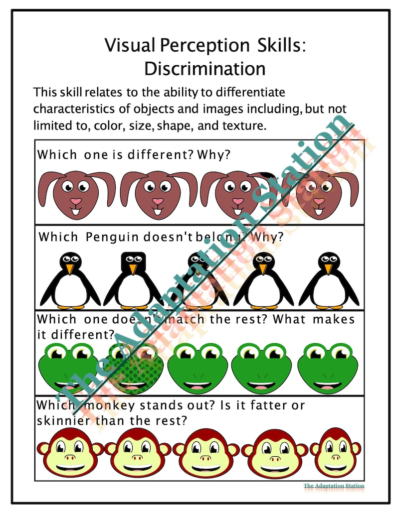 Visual Perception Skills: Discrimination - Etsy