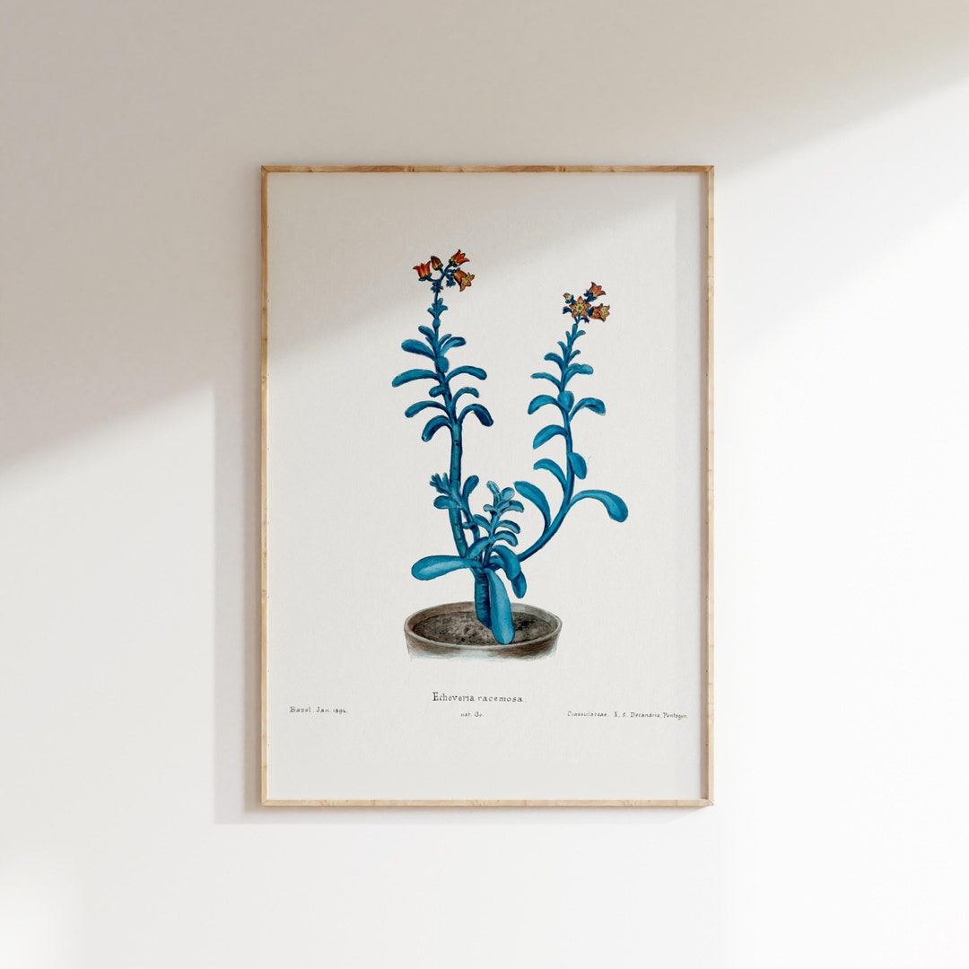 Botanical Art Print, Botanical Wall Art, Floral Poster, Antique ...
