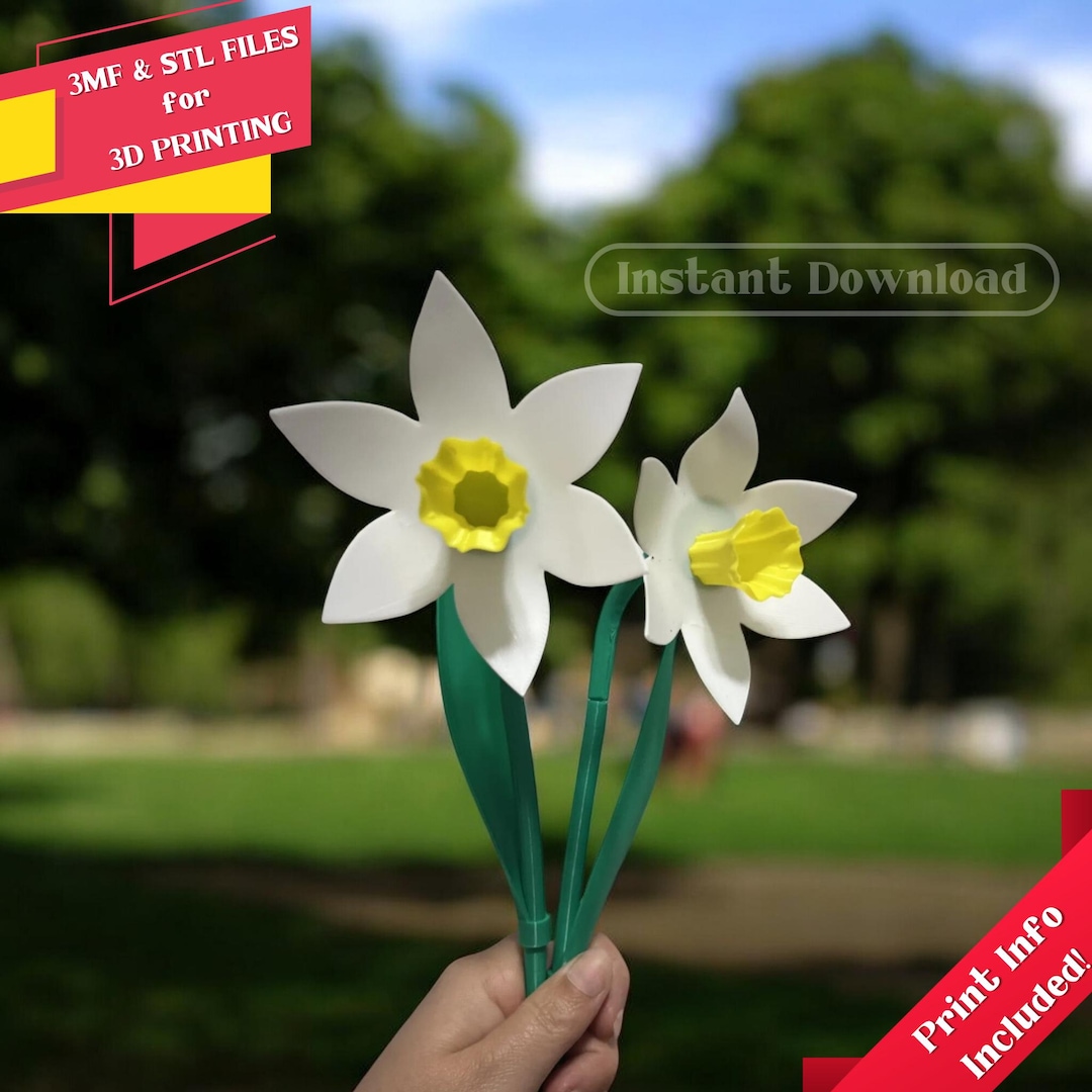 3D Daffodil Flower Model - STL & 3MF Files (digital Download) - Etsy UK
