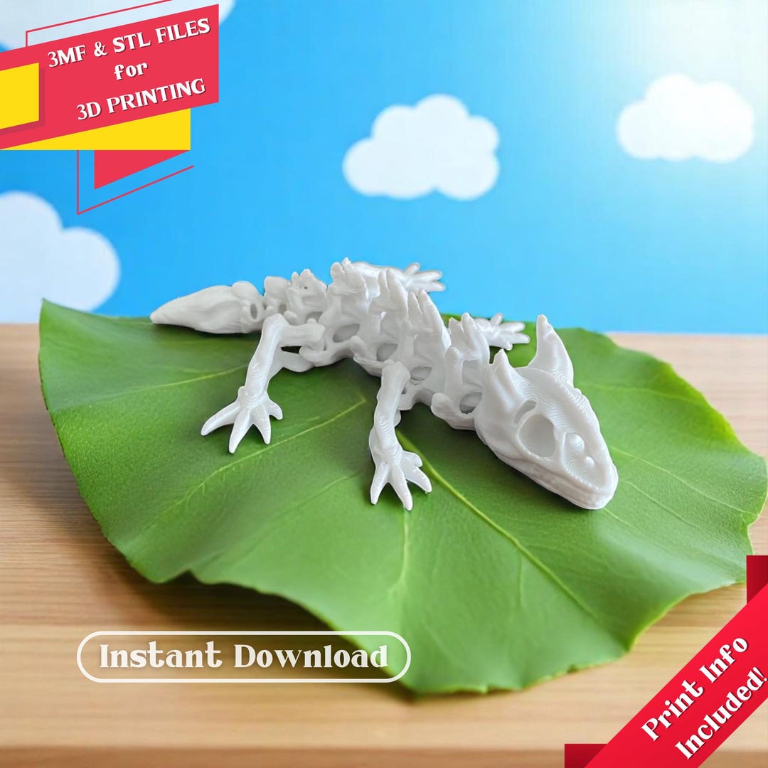 Articulated Skeleton Lizard – 3D Printer STL & 3MF Files - Etsy