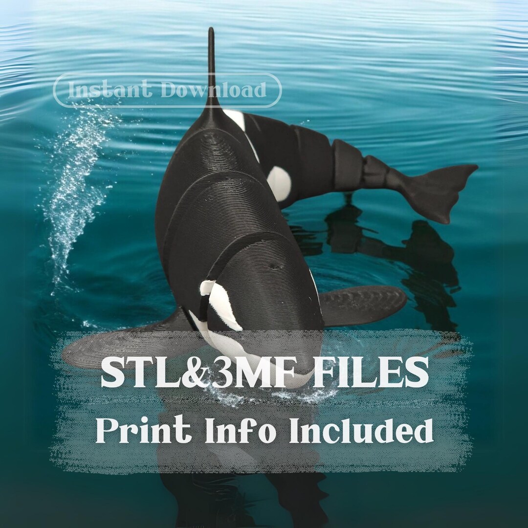 Articulated Orca Poseable Whale 3D Model, Digital STL & 3MF Files ...
