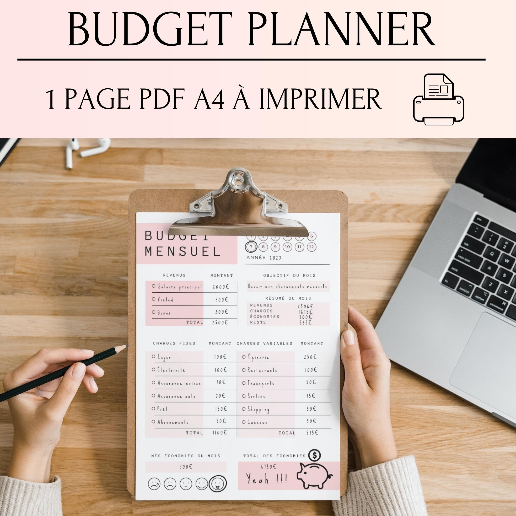 Budget planner français a imprimer ou utiliser dans goodnotes pour le ...