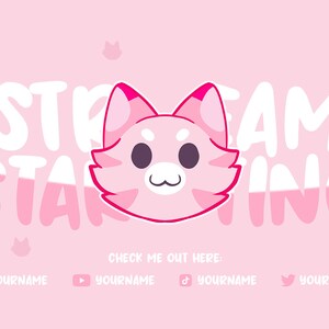 Full Pink Kitty Animated Stream Package