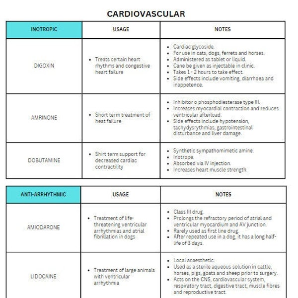 Veterinary Technician Study - Etsy