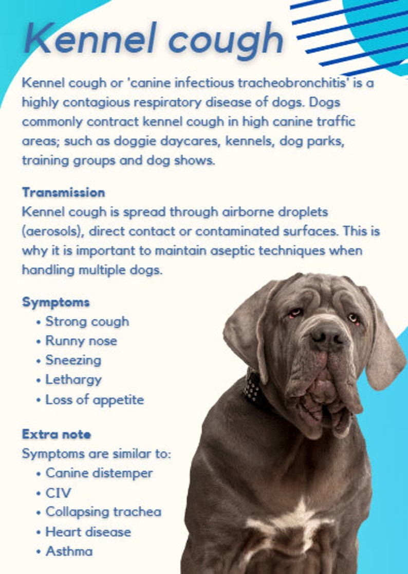 Animal Disease Posters: Kennel Cough, Cat Flu, Leishmania, Lepto. and ...