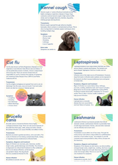 Animal Disease Posters: Kennel Cough, Cat Flu, Leishmania, Lepto. and ...