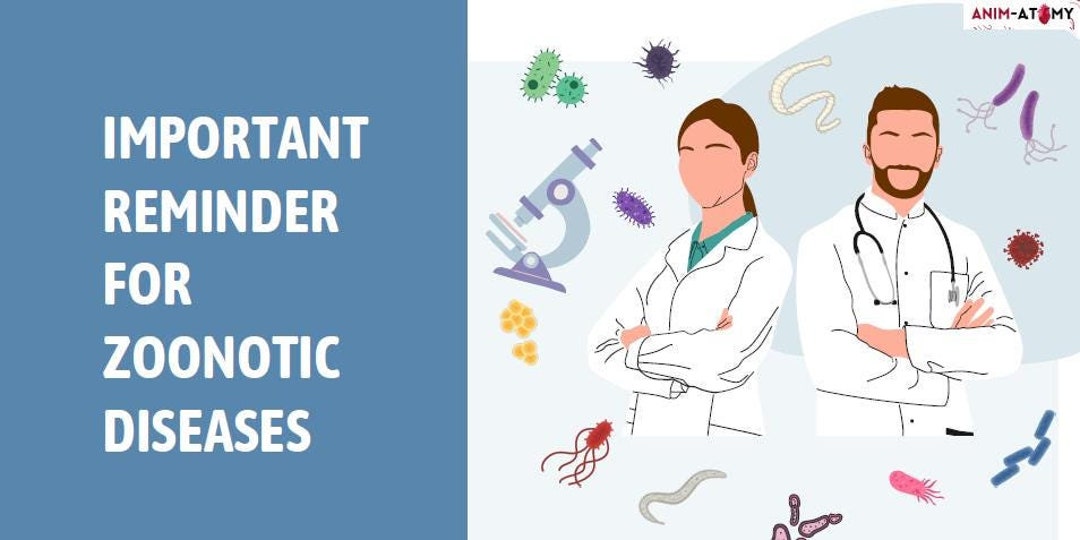 Zoonotic Disease Information Poster - Etsy