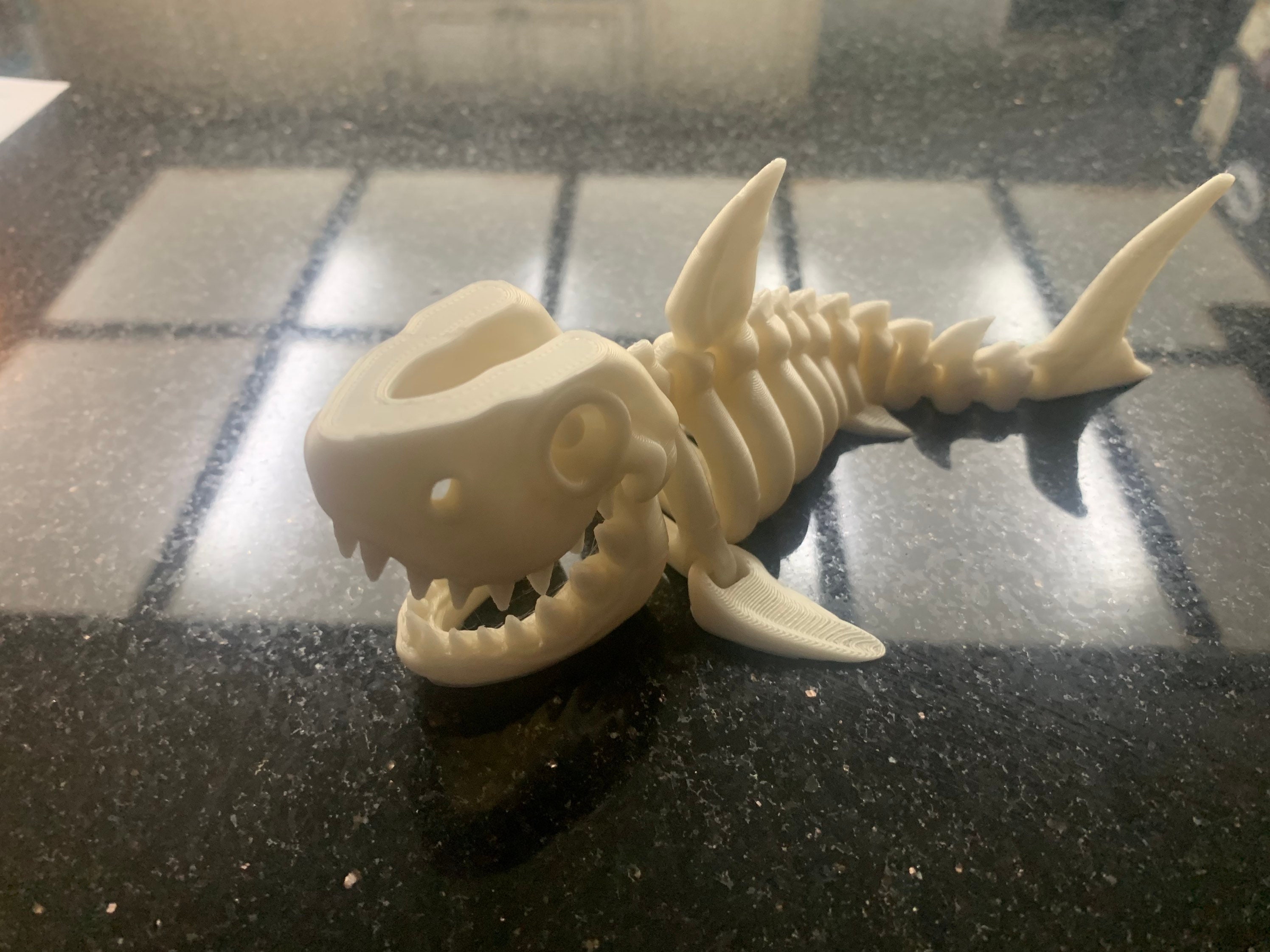 Skeleton Shark - Etsy
