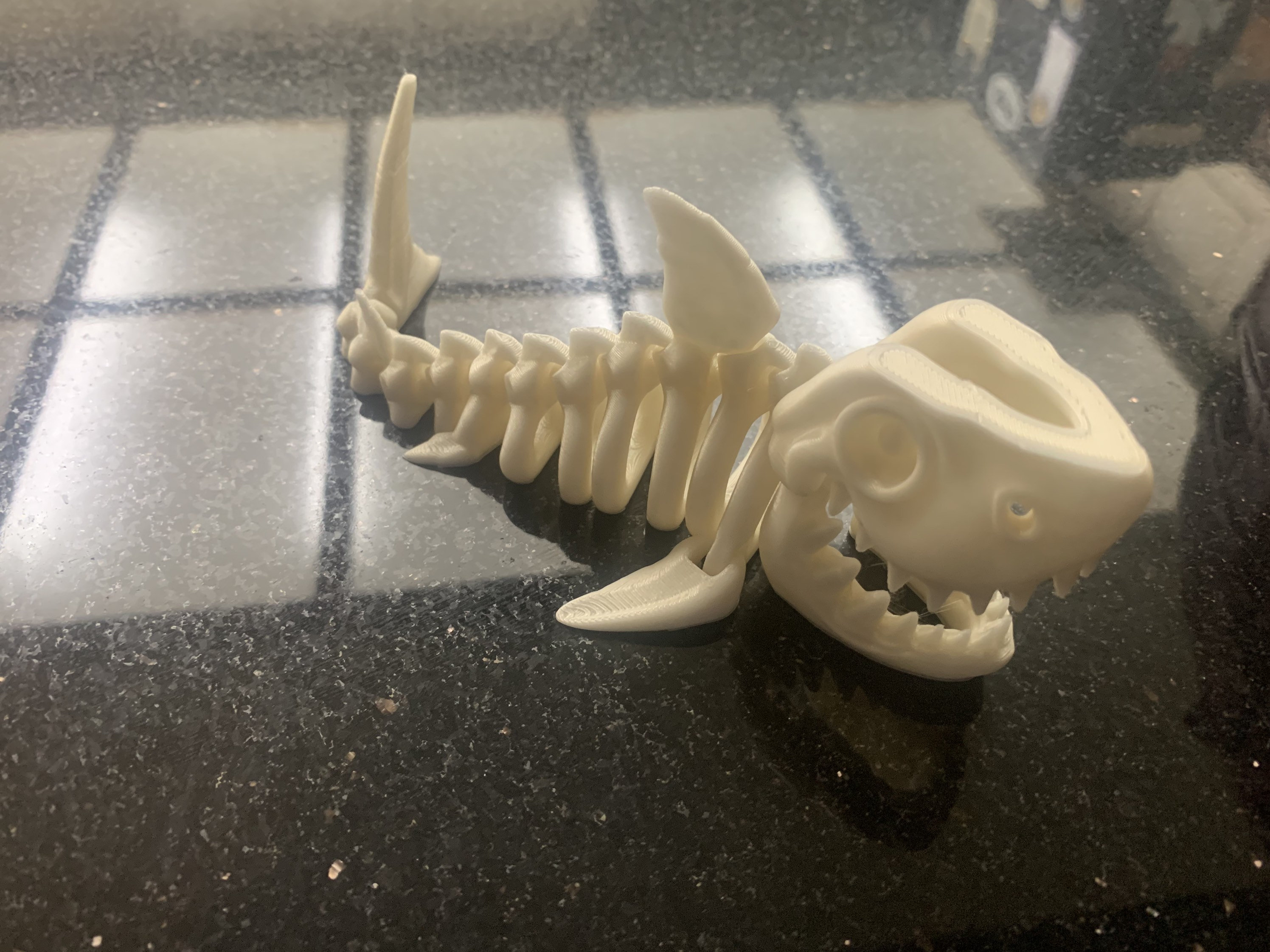 Skeleton Shark - Etsy