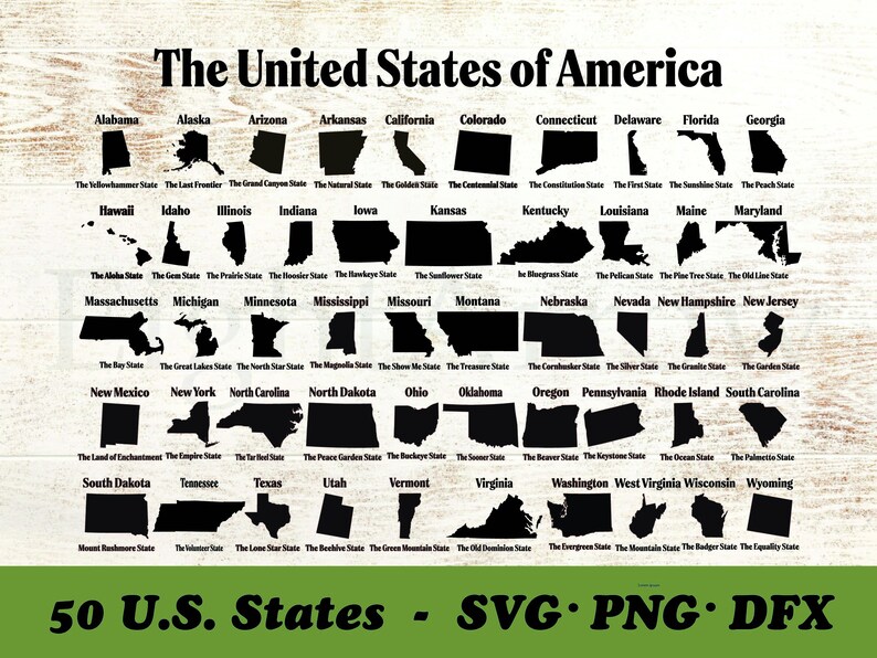 The United States of America Bundle, State Svg, Silhouette, Svg Files ...