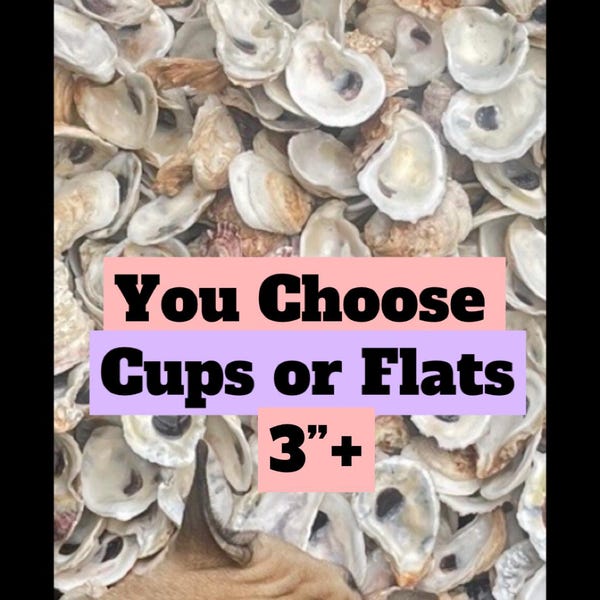 Oyster Decoupage - Etsy