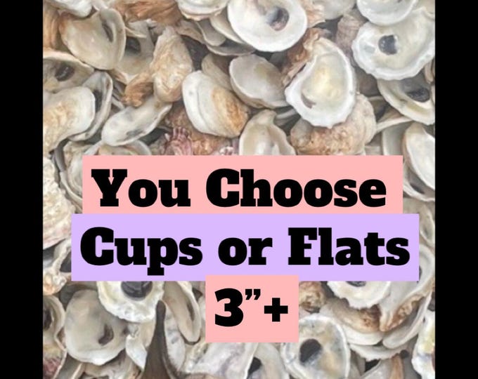 Hand Painted Oyster Shell - Etsy