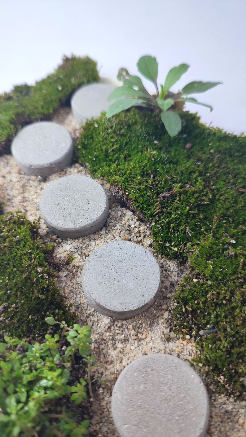 5 Miniature Round Concrete Garden Stepping Stones Stone - Etsy