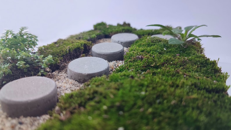 5 Miniature Round Concrete Garden Stepping Stones Stone - Etsy