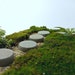 5 Miniature Round Concrete Garden Stepping Stones Stone Walkway Fairy ...