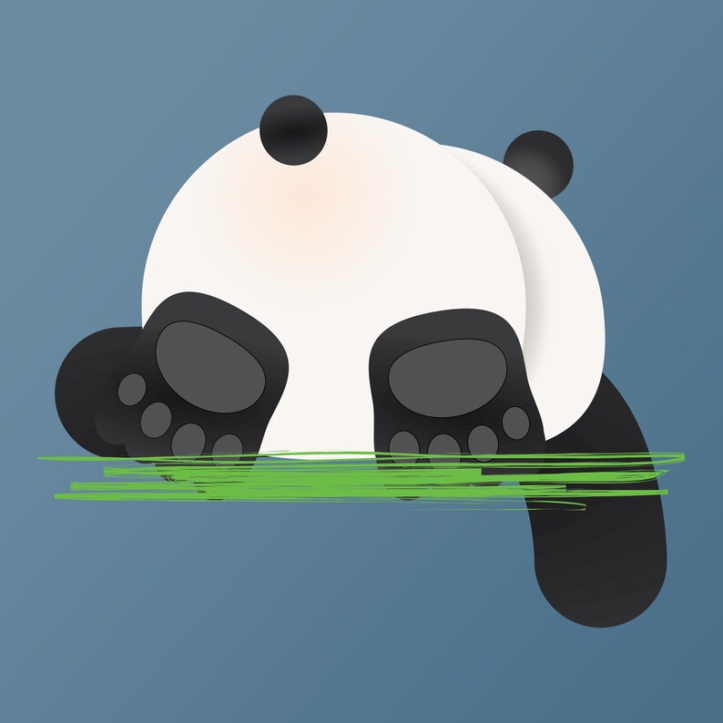 Panda T-shirt - Double Sided Kawaii Graphic Tee - Etsy