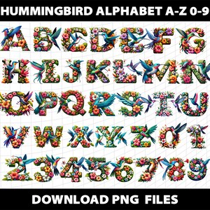 Hummingbird Forest Bird Letters Alphabet Cliparts Watercolor ...