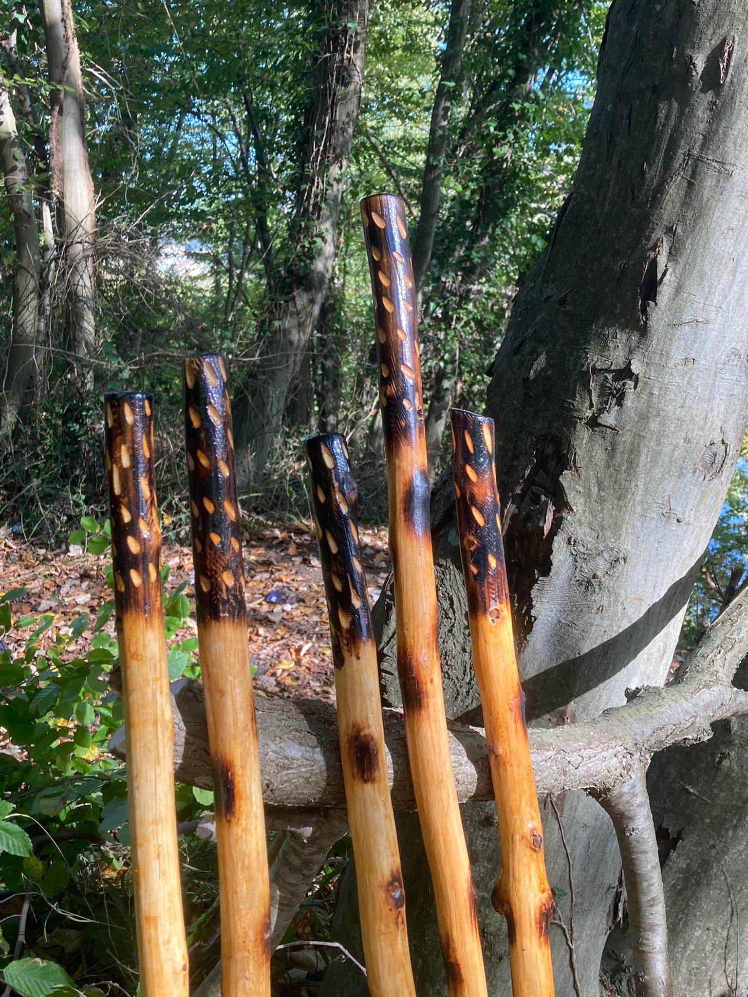 Natural Cane, Walking Cane, Quality Wooden, Trekking Cane, Canes, Hand ...